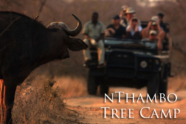 nthambo-tree-camp-1 - Sun Destinations Safari