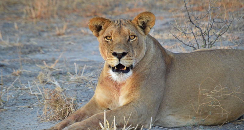 The Week in Pictures: The birds, the bees, and the big things.