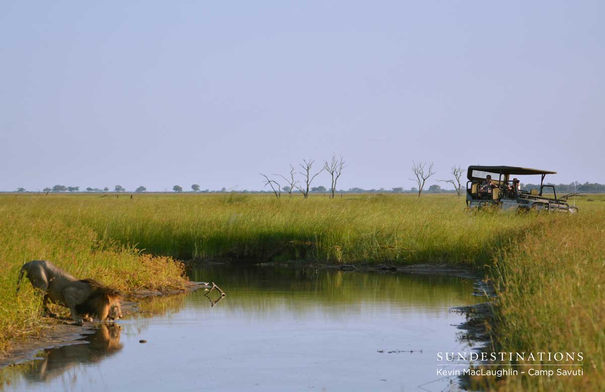 savuti-male-vehicle - Sun Destinations Safari