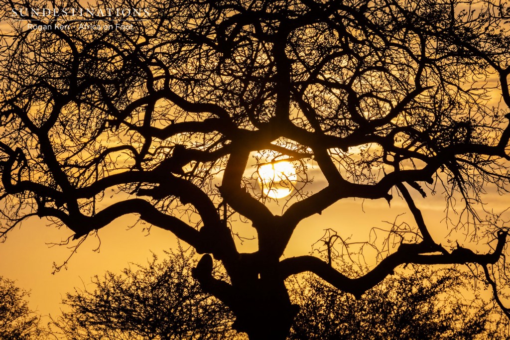 The Week in Pictures : Kaleidoscope of Colours in the Bushveld