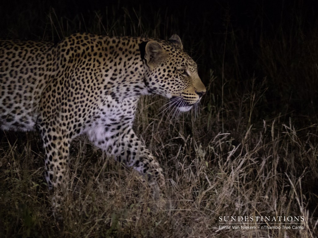 The Week in Pictures : Kaleidoscope of Colours in the Bushveld