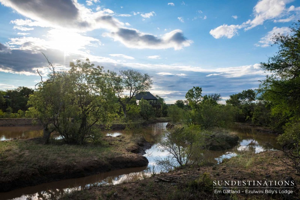Big 5 Balule Nature Reserve