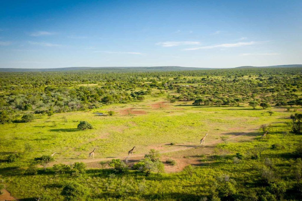 5 Things We Love About Bushwa Private Game Lodge