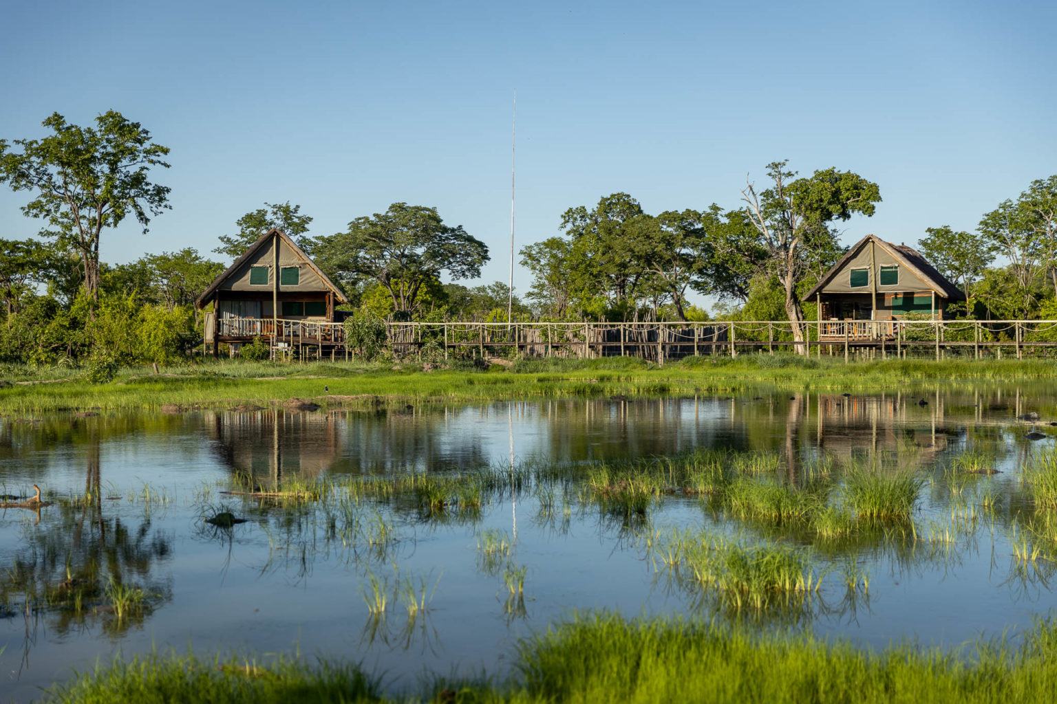 Camp Savuti | Mboma Island Expeditions | Chobe Mopani Forest Lodge