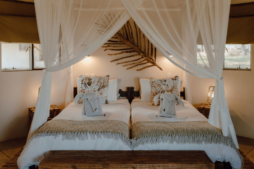 The Newcomers: Bundox, Nambu and Nyala